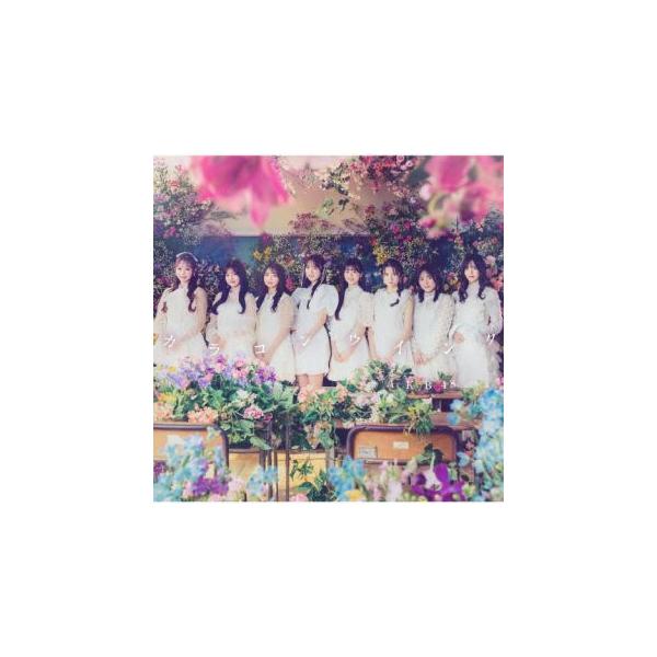 akb cdの通販価格と最安値