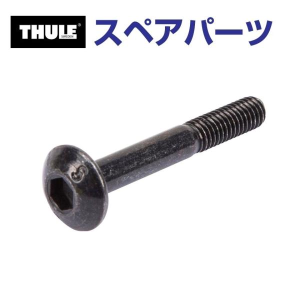 品番：TH1500050600製品カテゴリー：リアドアマウントサイクルキャリア使用製品名：Thule BackPac 973パーツ名：ボルト仕様：このパーツの図面番号は50600