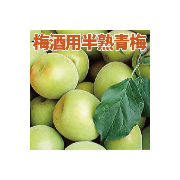 和歌山県みなべ町の自家梅園から収穫した南高梅を梅酒および梅ジュースに適した熟度でお届けいたします。是非今年は手作りにチャレンジしてみてはいかがでしょうか。