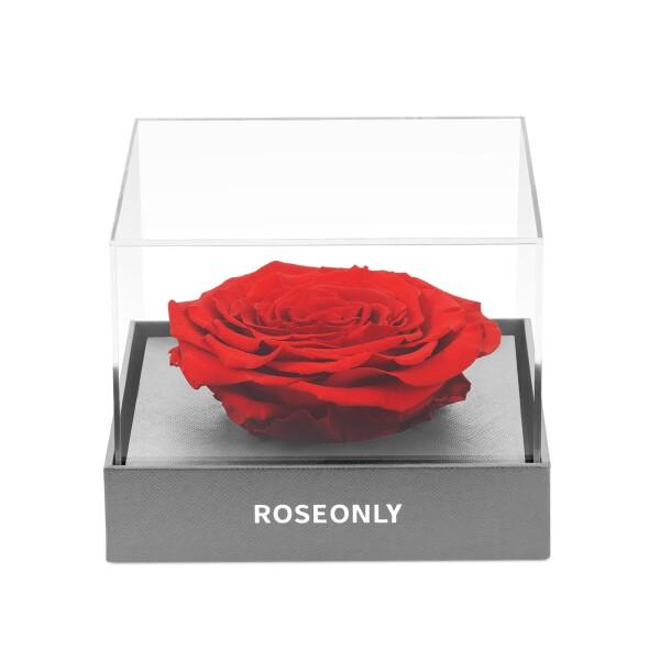 ROSEONLY プリザーブドフラワーボックスデスティニーローズ 本物のローズ 花 誕生日 記念日 母の日 バレンタインデー 告白 プロポーズ 卒業 退職のプレゼント商品コード：55073552919型番：10010310111サイズ：標準...
