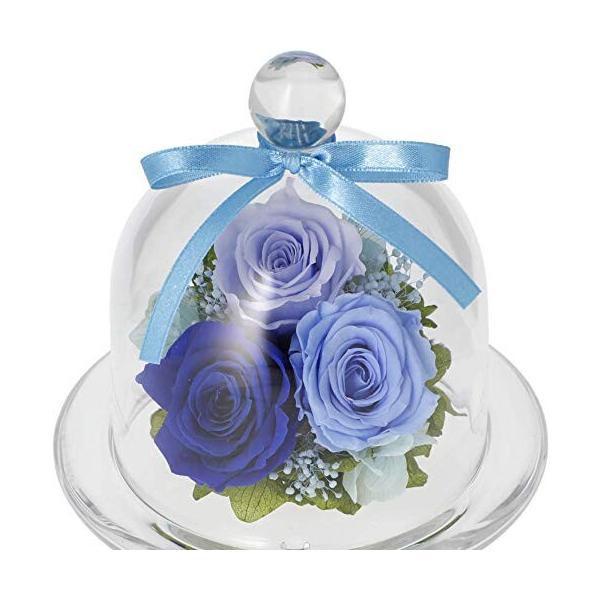 プリザーブドフラワーカフェ プリザーブドフラワー セシル (ブルー)商品コード：55073584938型番：sesilサイズ：小カラー：ブルー大きさ　高さ約12cm　直径約12cm