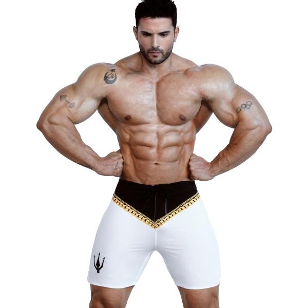 (FIED) ファイド IFBB 15インチ メンズフィジーク ボードショーツ ポージングトランクス 競技 水泳 夏 NPC商品コード：55075572690型番：PY_Royal_BKサイズ：26カラー：RYブラック15インチ膝上の長さ....