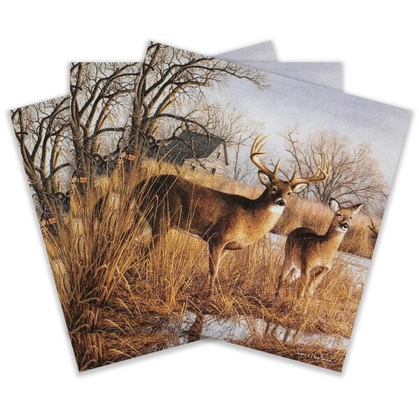 色紙 カクテル ナプキン 20 枚 シャビーシックナプキン 結婚式 ディナ ティーパーティ シャワ 鹿 納屋商品コード：55076353885型番：65825サイズ：Mカラー：鹿 納屋折りたたみ体格: 5"x 5"/12.5 x 12.5 ...