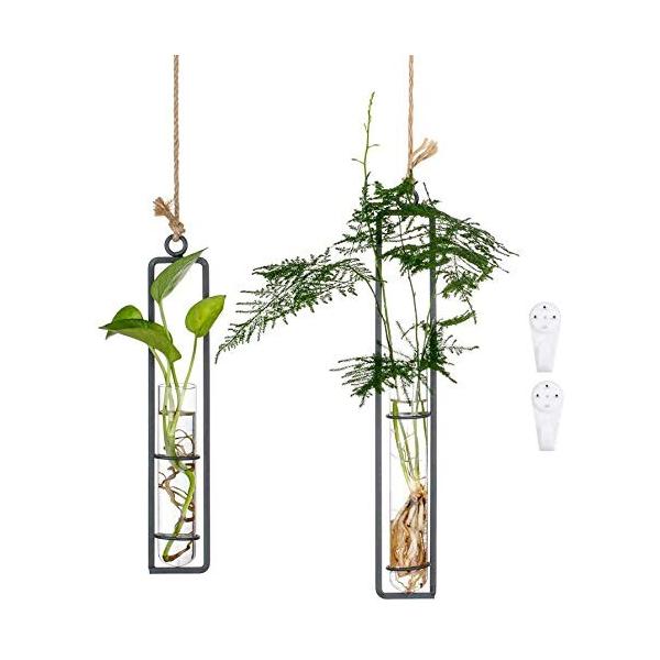 一輪挿し花瓶 吊り下げ式試験管花瓶 花瓶 ミニ花器 透明 フラワーベース 水栽培 水耕栽培花瓶 ガラス花瓶 テラリウム容器 工芸 壁掛け花瓶 玄関廊下装飾花瓶 (ブラック, S+M)商品コード：55076591855サイズ：S+Mカラー：ブ...