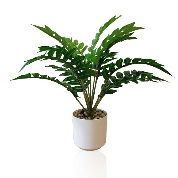 (RUNO) フェイクグリーン 人工観葉植物 卓上 多肉 造花 インテリア 鉢付き 手入れ不要 (ザミオクルカス)商品コード：55077771054型番：RN-05サイズ：中カラー：ザミオクルカス水やり不要の人工観葉植物。玄関やトイレにも気...