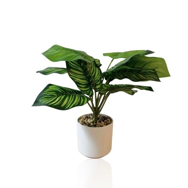 (RUNO) フェイクグリーン 人工観葉植物 卓上 多肉 造花 インテリア 鉢付き 手入れ不要 (カラテア)商品コード：55077771070型番：RN-05サイズ：中カラー：カラテア水やり不要の人工観葉植物。玄関やトイレにも気軽に飾れるコ...