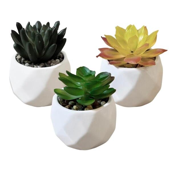 (RUNO) フェイクグリーン 卓上 ミニ 人工観葉植物 多肉 造花 インテリア 鉢 3点セット (Bセット)商品コード：55078081306型番：RN-04サイズ：小カラー：Bセット手のひらサイズのミニ人工観葉植物。お部屋やデスクに癒し...
