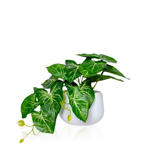 (RUNO) フェイクグリーン 卓上 観葉植物 フェイク 多肉 造花 インテリア 3点セット (シンゴニウム)商品コード：55078925708型番：RN-07サイズ：中カラー：シンゴニウムデスク周りに癒しを添えるフェイクグリーン3点セット...