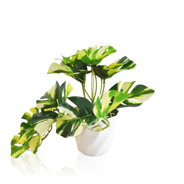 (RUNO) 観葉植物 フェイク 造花 インテリア フェイクグリーン 卓上 多肉植物 3点セット (モンステラ・バリエガータ)商品コード：55078925838型番：RN-06サイズ：中カラー：モンステラ・バリエガータおしゃれなフェイクグリ...