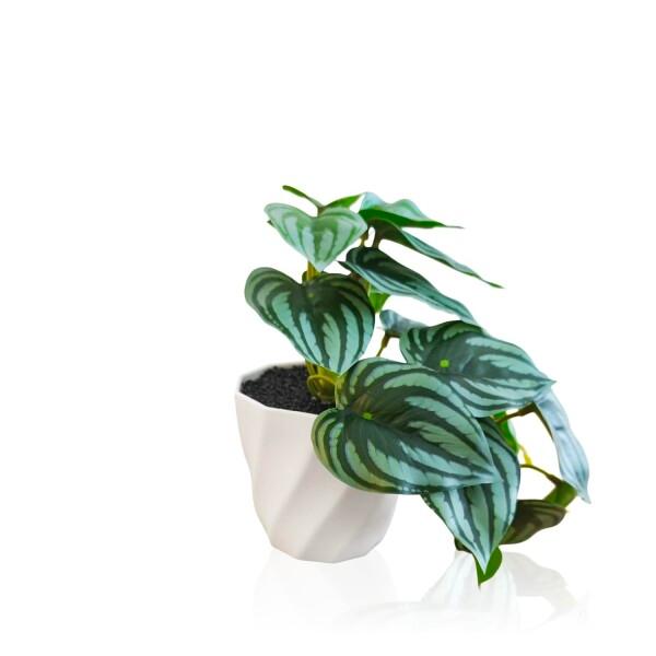 (RUNO) 観葉植物 フェイク 造花 インテリア フェイクグリーン 卓上 多肉植物 3点セット (スイカペペロニア)商品コード：55078925845型番：RN-06サイズ：中カラー：スイカペペロニアおしゃれなフェイクグリーン3点セット。...