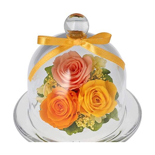 プリザーブドフラワーカフェ プリザーブドフラワー セシル (イエローオレンジ)商品コード：55078926480型番：sesilサイズ：小カラー：イエローオレンジ大きさ　高さ約12cm　直径約12cm