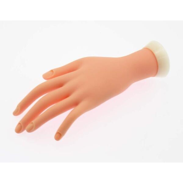 Olive-G 女性 左手 ハンドマネキン ハンドトルソー 模型 指折り曲げ可能商品コード：55079249912サイズ：全長25cm×幅８cm女性の左手のハンドマネキンです。底は平らになっているので自立します。商品のディスプレイや写真撮影...