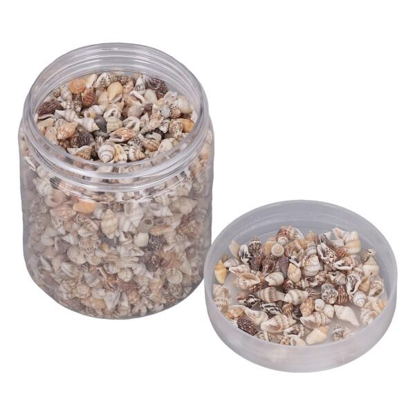 Spiral Seashells Co DIY 魚とドリフトボトルの装飾用 - 設置と造園用の混合貝殻、小さな非多孔質の貝殻商品コード：55080857024型番：EBTOO4eu2vd5ax7サイズ：#011カラー：#011多用途: これ...
