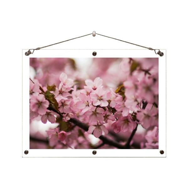 ハーツラスAR 低反射 UVカット アクリルフォトフレーム B4判 壁掛けタイプ商品コード：55080863541サイズ：B4判カラー：透明パネルの存在がわからないくらい透明。透過率99%以上。反射防止コーティングにより通常アクリルパネルに...