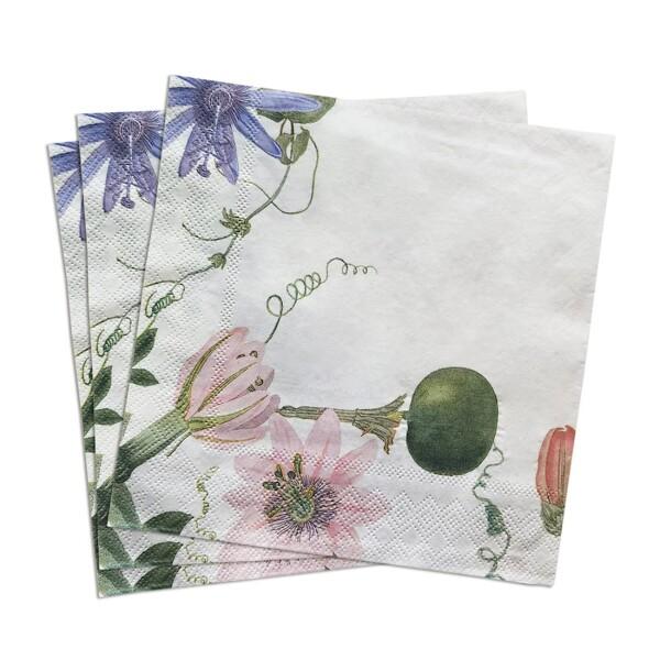 Zelten 2層 20枚入り カラーペーパーナプキン シャビーシック風、ウェディング、ディナー、ティーパーティー装飾用、ブルーパッシフローラ・カエルレア商品コード：55080871664型番：66655カラー：ブルーパッシフローラ・カエル...