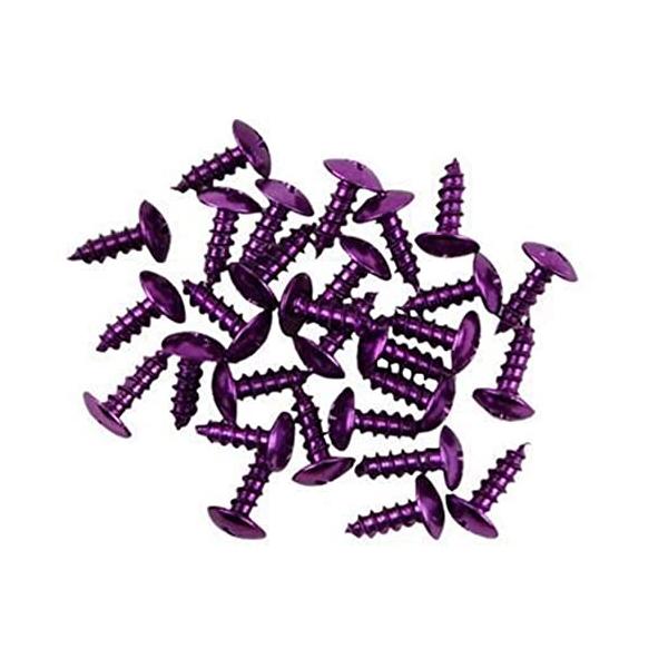 SakaSK アルミタッピングビス(M5×16mm) 汎用 ドレスアップ カスタム 自作 軽量化 (100, パープル (紫))商品コード：55081428135型番：SK-001042サイズ：100カラー：パープル ( 紫 )
