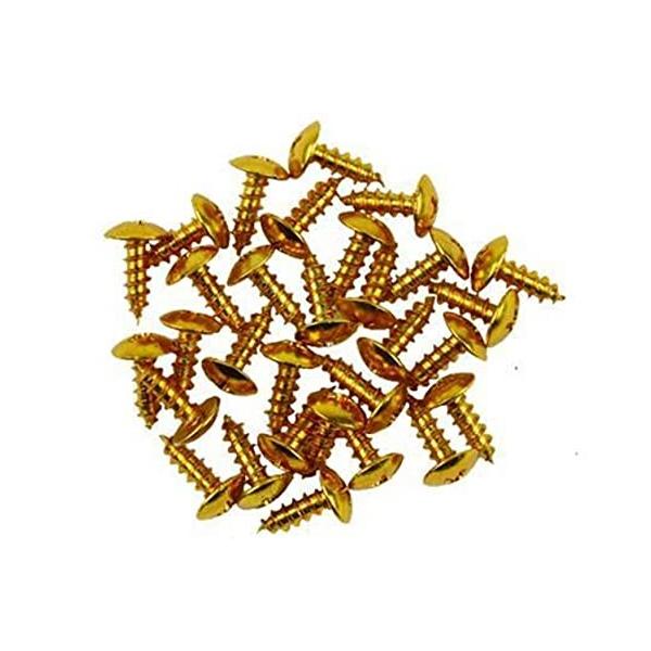 SakaSK アルミタッピングビス(M5×16mm) 汎用 ドレスアップ カスタム 自作 軽量化 (100, ゴールド (金))商品コード：55081428140型番：SK-001042サイズ：100カラー：ゴールド ( 金 )