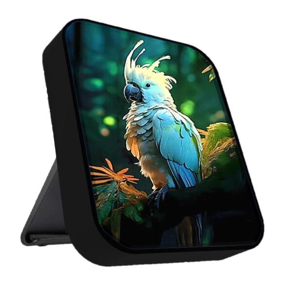 Magic Display 3DアートLED 14cm×18cm LEDフォトフレーム ライト付き パターンA プレゼント タイプCケーブル付属 (七色のオウム, ブラック, 14 x 18)商品コード：55081456764型番：MDT-...
