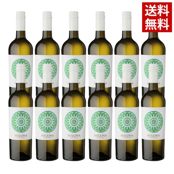 南イタリア特有のパイナップルやマンゴーを思わせるトロピカル系のフルーツの果実味が特徴です。お刺身、貝の酒蒸し、オリーブオイルとの相性が抜群です原産地：イタリア辛口アルコール分：１１．５％内容量：750ml×12本