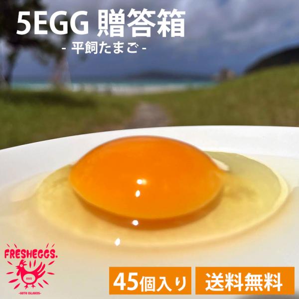 <商品説明>商品名:5EGG（平飼たまご） 贈答箱（45個入） 内容量:鶏卵50個入(割れ保障5個含む)賞味期限:製造日（採卵日）より22日保存方法:冷蔵庫など8℃以下で保存してください製造者:五島列島 大石養鶏場/長崎県五島市...