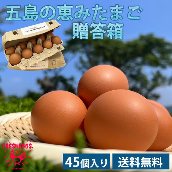 <商品説明>商品名:五島の恵みたまご　贈答箱（45個入）内容量:鶏卵50個入(割れ保障5個含む)賞味期限:製造日（採卵日）より22日保存方法:冷蔵庫など8℃以下で保存してください製造者:五島列島 大石養鶏場/長崎県五島市吉久木町...