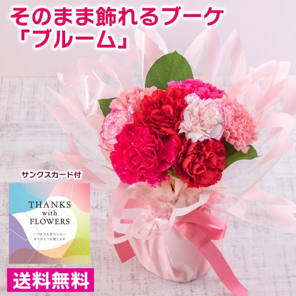 <商品説明>商品名:そのまま飾れるブーケ「ブルーム」商品の特徴:お手入れ簡単で人気のスタンディングブーケ。届いてそのまま飾ることができ、花瓶いらずです。カーネーションの花びらのようなラッピングが キュート！内容量:カーネーション...