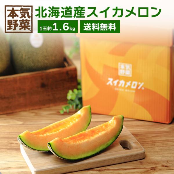 この商品は7月15日以降順次発送となります。<商品説明>名称:北海道産スイカメロン産地名北海道産内容量:1玉入り（約1.6kg）保存方法:青果物ですので到着後はお早目にお召し上がり下さい。