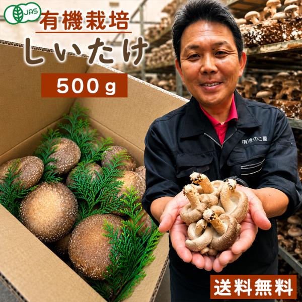 <商品説明>商品名:長崎県産 有機栽培しいたけ 500g商品説明：オーガニック有機JAS認定工場としては九州初です。地下５０ｍの天然地下水をFFCのセラミックス活水を通して栽培してます。『傷をつけない』をモットーに大切に１ヶ所だ...
