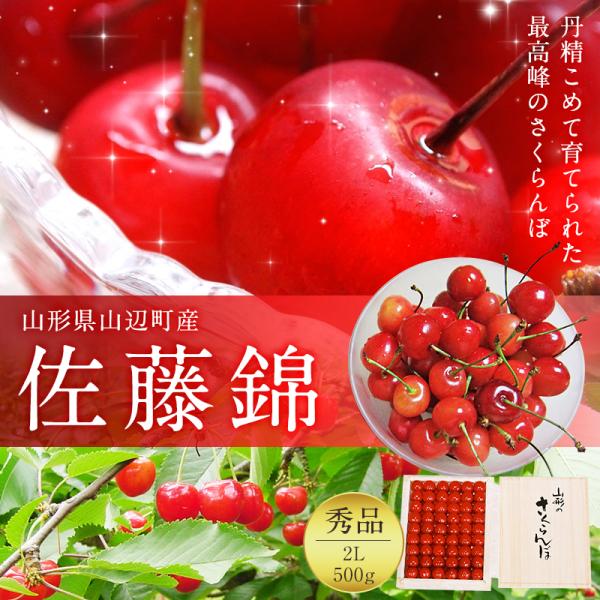 6月10日以降に順次発送いたします。<商品説明>商品名:佐藤錦 2Lサイズ約500g商品詳細:山形のさくらんぼのトップブランド山辺町の鈴木さんより大粒のみ厳選したさくらんぼを桐の箱に１つ１つ丁寧に手詰めしてお届け致します。産地名...