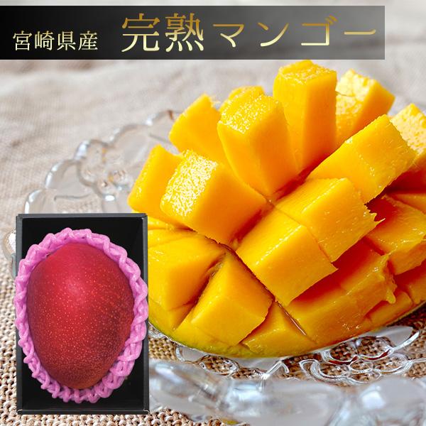 5月20日以降順次出荷いたします。<商品説明>名称 マンゴー産地名:国産（宮崎県）内容量:3Lサイズ保存方法:青果物ですので到着後はお早目にお召し上がり下さい。