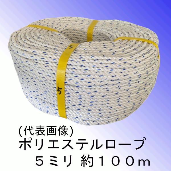 ポリエステルの３つ打ロープです。線径５ミリ、長さは約１００ｍ、重量は約１．５５Ｋｇです。水に沈みます。