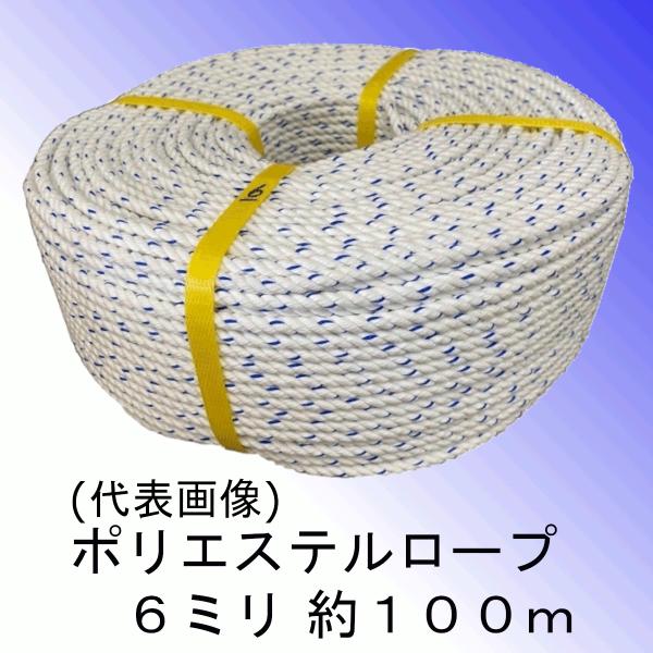 ポリエステルの３つ打ロープです。線径６ミリ、長さは約１００ｍ、重量は約２．２５Ｋｇです。水に沈みます。