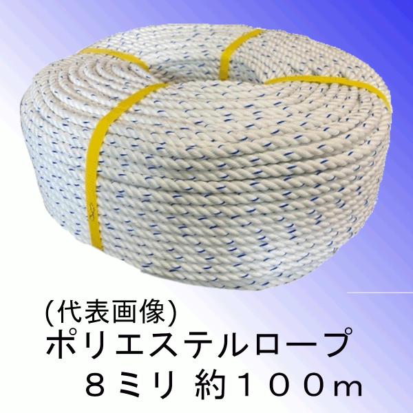 ポリエステルの３つ打ロープです。線径８ミリ、長さは約１００ｍ、重量は約３．９６Ｋｇです。水に沈みます。