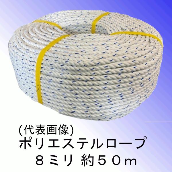 ポリエステルの３つ打ロープです。線径８ミリ、長さは約５０ｍ、重量は約１．９８Ｋｇです。水に沈みます。