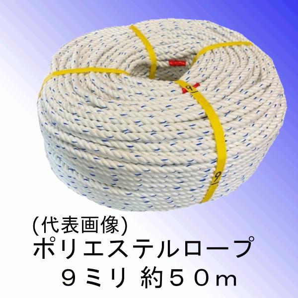 ポリエステルの３つ打ロープです。線径９ミリ、長さは約５０ｍ、重量は約２．５Ｋｇです。水に沈みます。