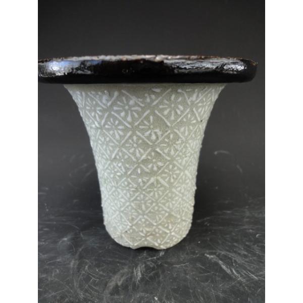 お手持ちの長生蘭・石斛花物がワンランクアップ！外国の方へのプレゼントにもどうぞ。