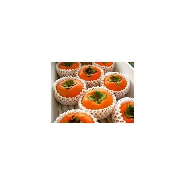 山梨県石和の富有柿通販 甘柿を代表するふゆう柿を販売取寄。Ｌ〜2Ｌ 約11玉入 石和ブランド 山梨県笛吹石和支所