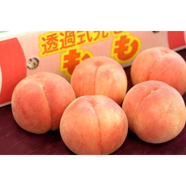 福島桃最上等級【天】通販 糖度約13.5度のももを販売取寄。中箱 約7玉〜約9玉