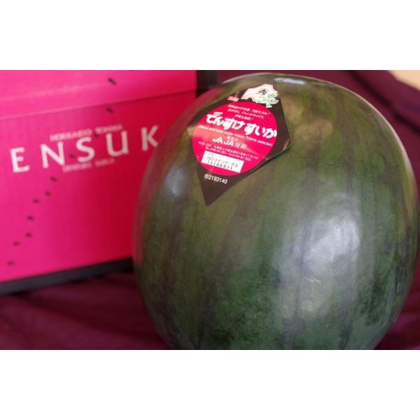 でんすけ西瓜販売 北海道当麻産の黒皮スイカを通販で取寄。秀品1玉3L〜5L