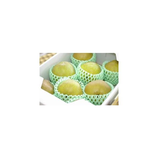 ラフランス通販 山形県西洋梨お歳暮ラ・フランスを販売取寄。中箱 約7玉〜約9玉