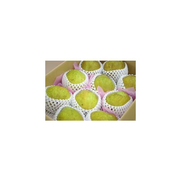 ラフランス通信販売 山形県西洋梨お歳暮ラ・フランスを取寄。約5ｋｇ 特大 5Ｌ〜6Ｌ 約10玉〜約12玉