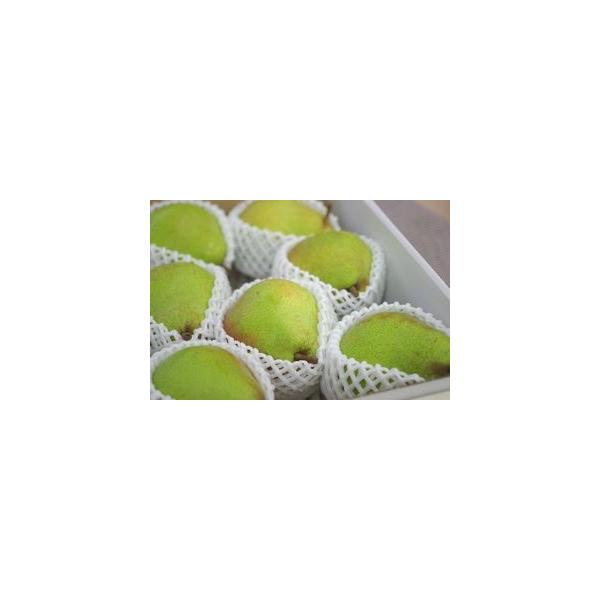 西洋梨コミス通信販売 ドワイエネ・デュ・コミスを販売取寄。山形・他産地 中箱 約7玉〜約9玉