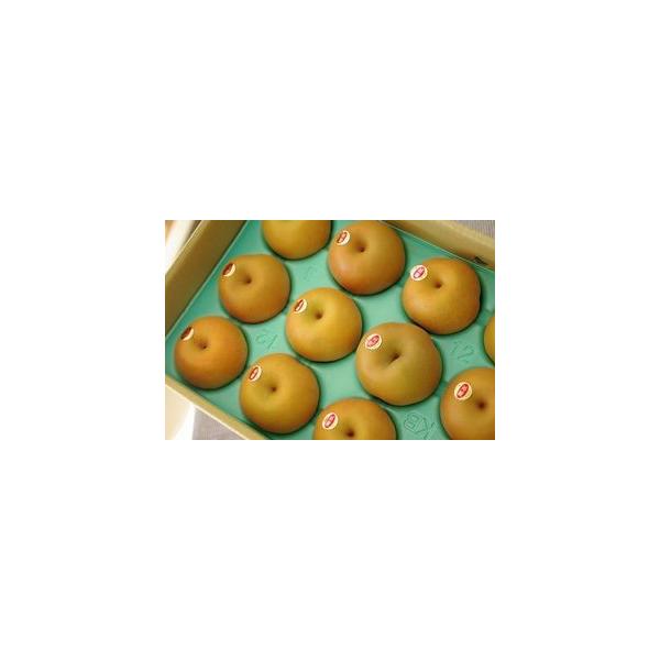 南水梨取寄販売 糖度約13度の和梨を通販で。約5ｋｇ 約10玉〜約16玉 長野・他産地