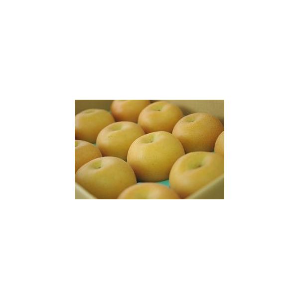 南水梨取寄販売 太鼓判・下伊那園芸・三石農園糖度約14度の和梨を通販で。約5ｋｇ 約10玉〜約16玉 長野産