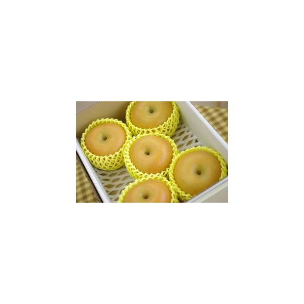 南水梨通販 太鼓判・下伊那園芸・三石農園糖度約14度の和梨を販売取寄。小箱 約5玉〜約6玉 長野産