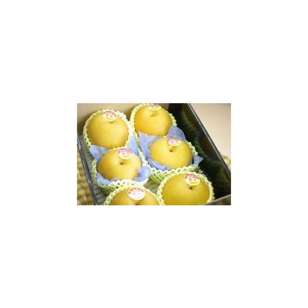 新潟豊水通販  しろね地区糖度約13度の和梨を販売取寄。一糖賞・糖鮮確実 小箱 約5玉〜約6玉 新潟産