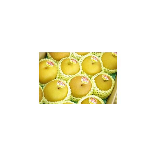 新潟豊水取寄販売  しろね地区糖度約13度の和梨を通販で果物ギフトに。一糖賞・糖鮮確実  約5ｋｇ 10玉〜16玉 新潟産