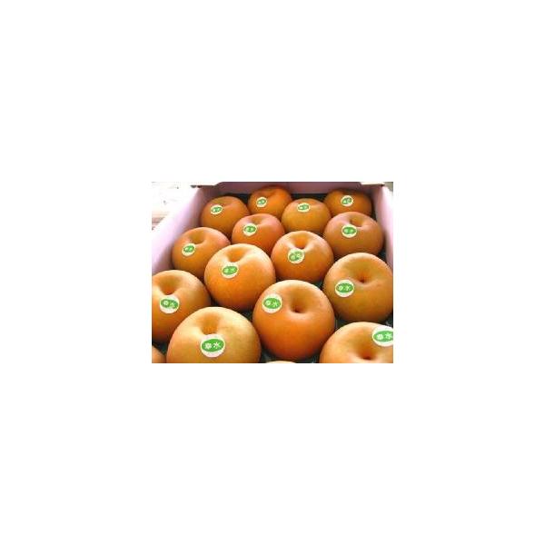 刈屋梨 幸水梨（こうすいなし）山形県刈屋梨出荷組合 5ｋｇ　約8玉〜約18玉