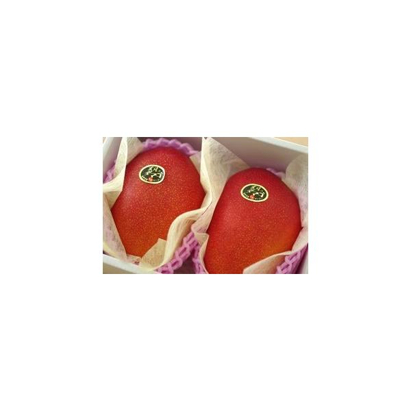 太陽の卵マンゴー通信販売 宮崎産アップルマンゴー販売。糖度15度以上 大玉2玉