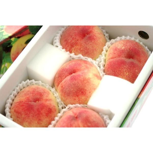 温室栽培桃♪化粧箱　約4玉〜約6玉入【山梨県産】 5月中旬頃よりお届け